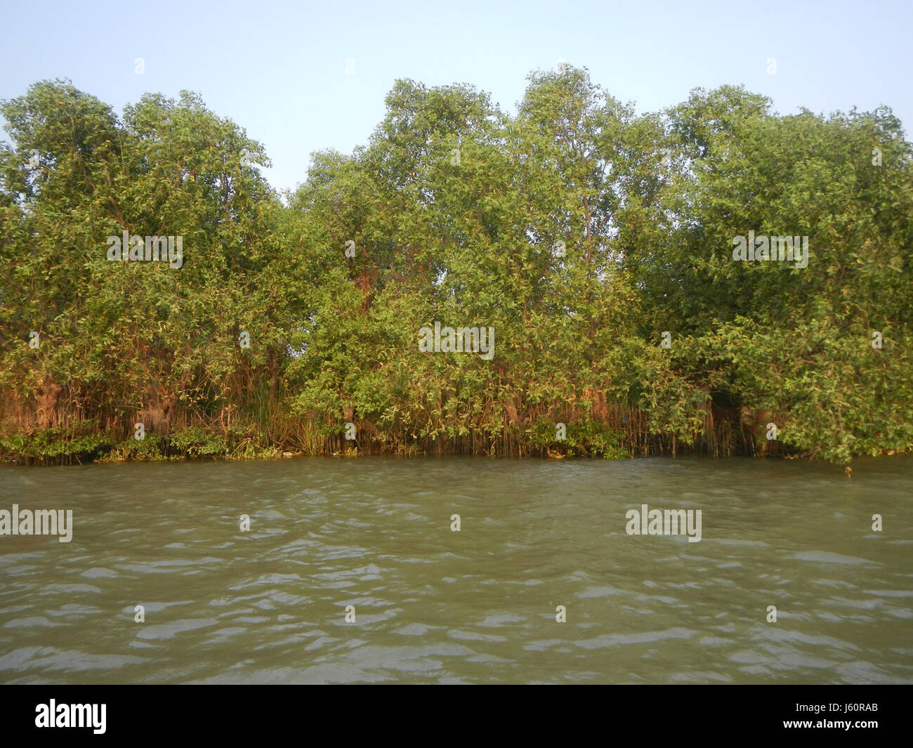 02698 Masantol Pampanga River Districts villages Riverbanks 25 Stock ...