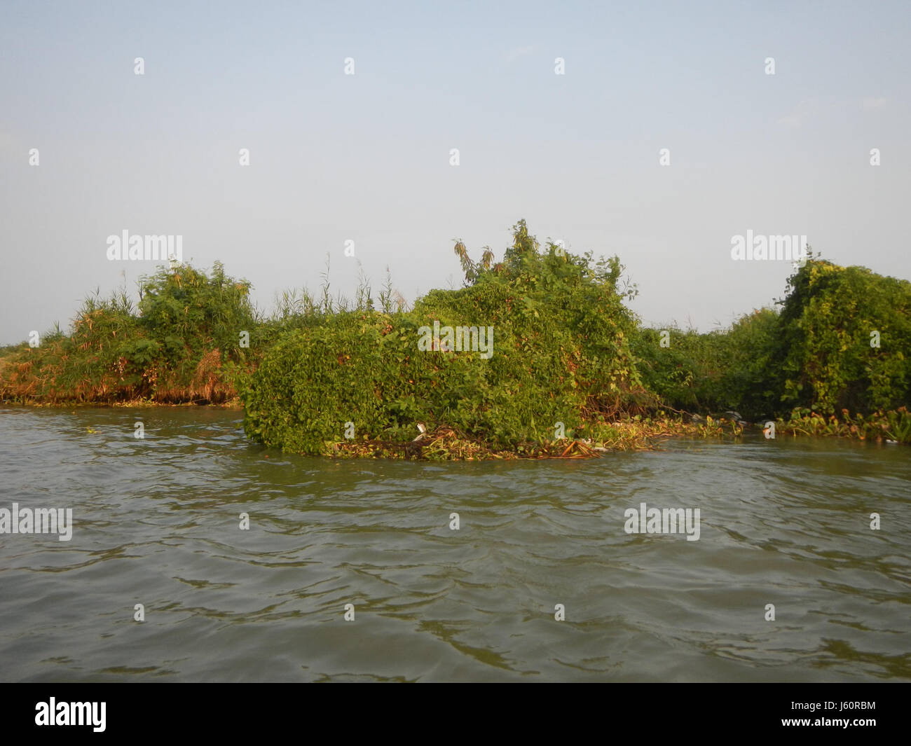 Masantol, located in the Pampanga River Districts of the Philippines ...
