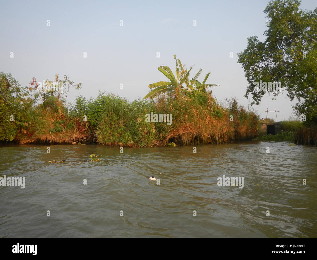 Masantol, Pampanga, is a region known for its riverbanks and ...