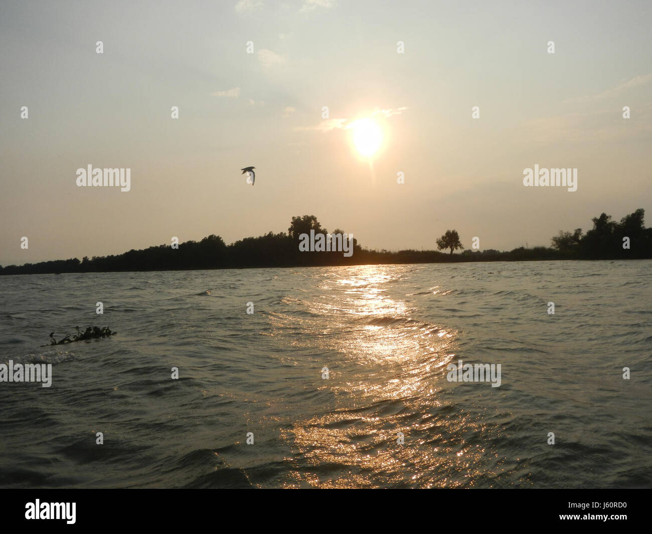 Masantol, Pampanga, is a rural area in the Philippines known for its ...