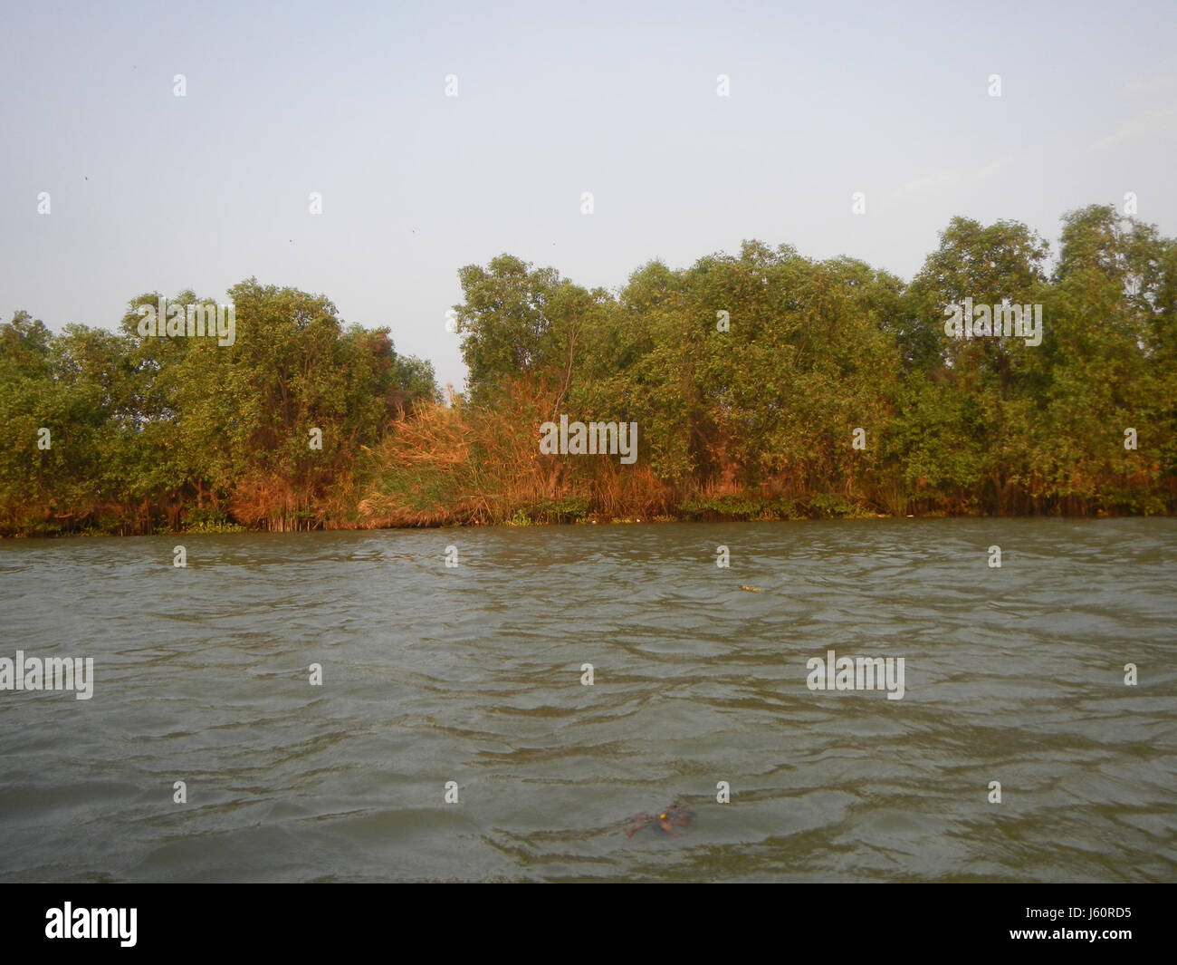 River systems mapping hi-res stock photography and images - Alamy