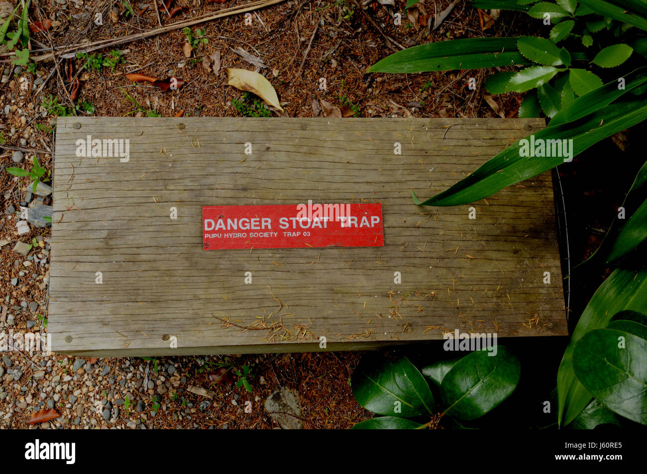 Animal kill traps on DOC land on New Zealand's South Island. Introduced ...