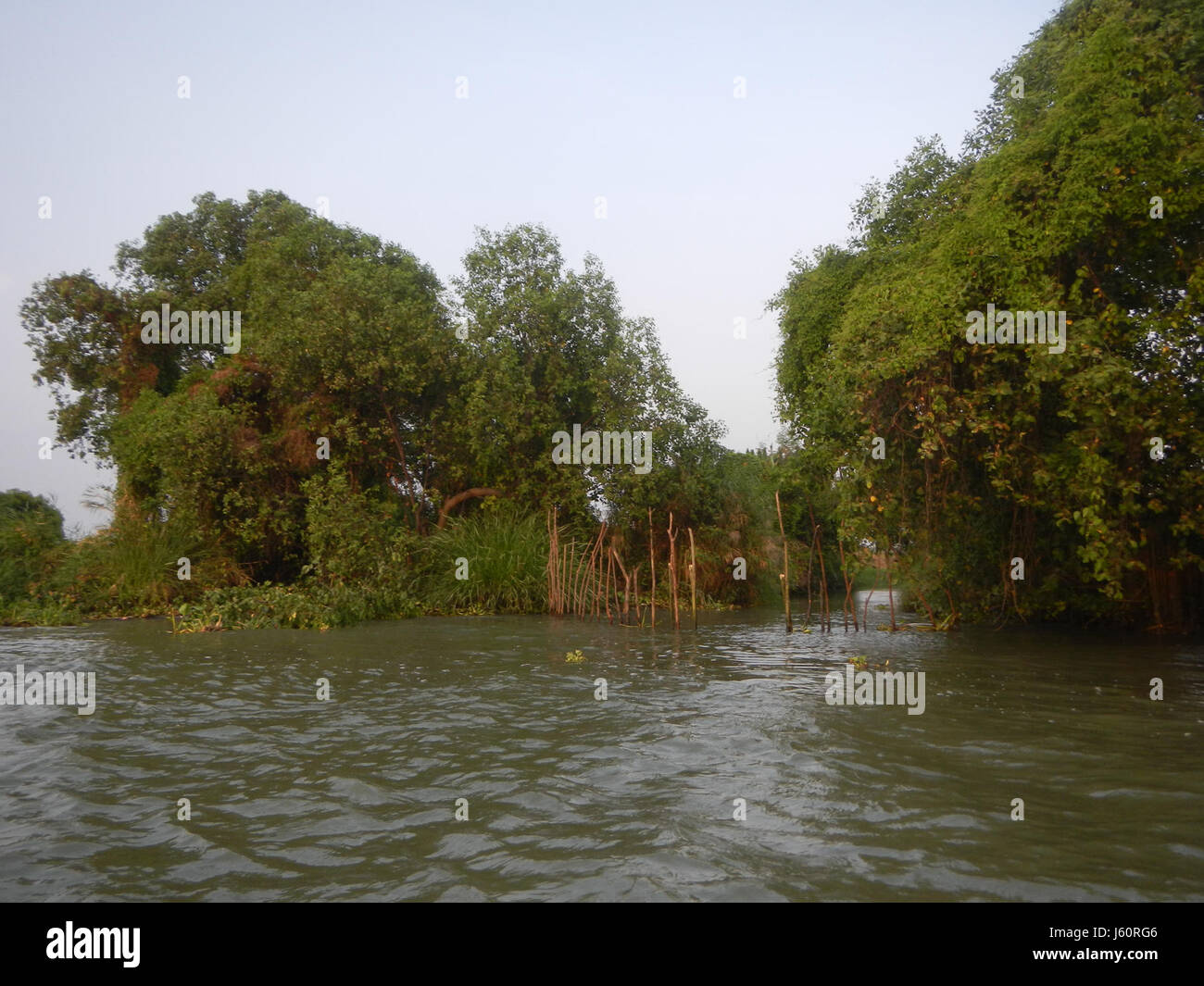 02906 Masantol Pampanga River Districts villages Riverbanks 42 Stock ...