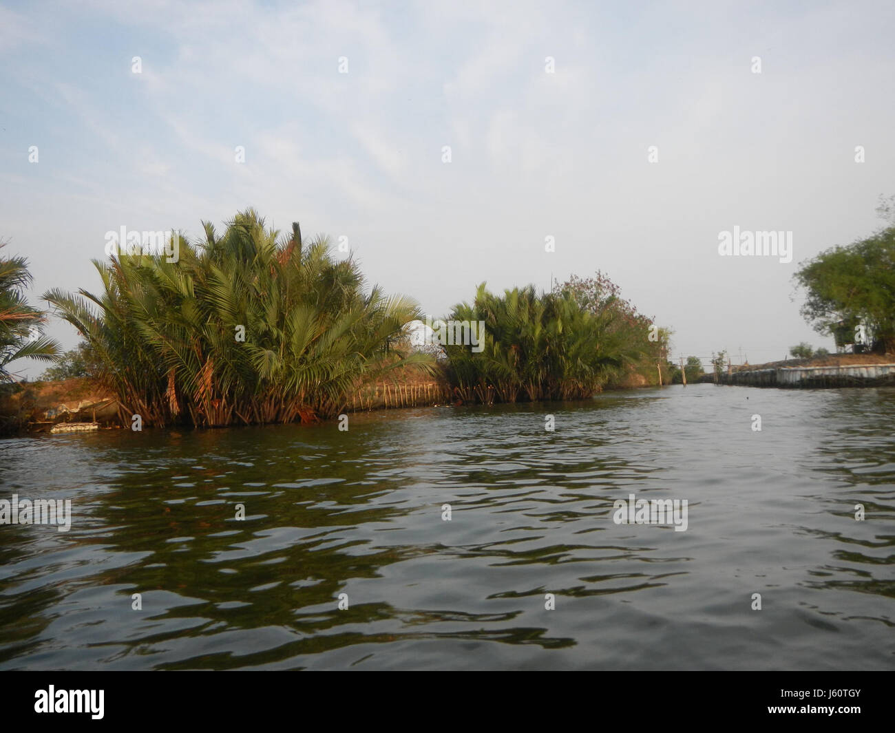 01094 River banks Birds Panasahan Malolos San Jose Paombong Bulacan 12 ...