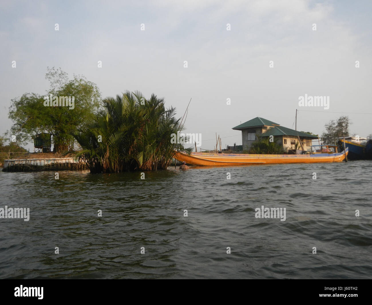 01094 River banks Birds Panasahan Malolos San Jose Paombong Bulacan 13 ...