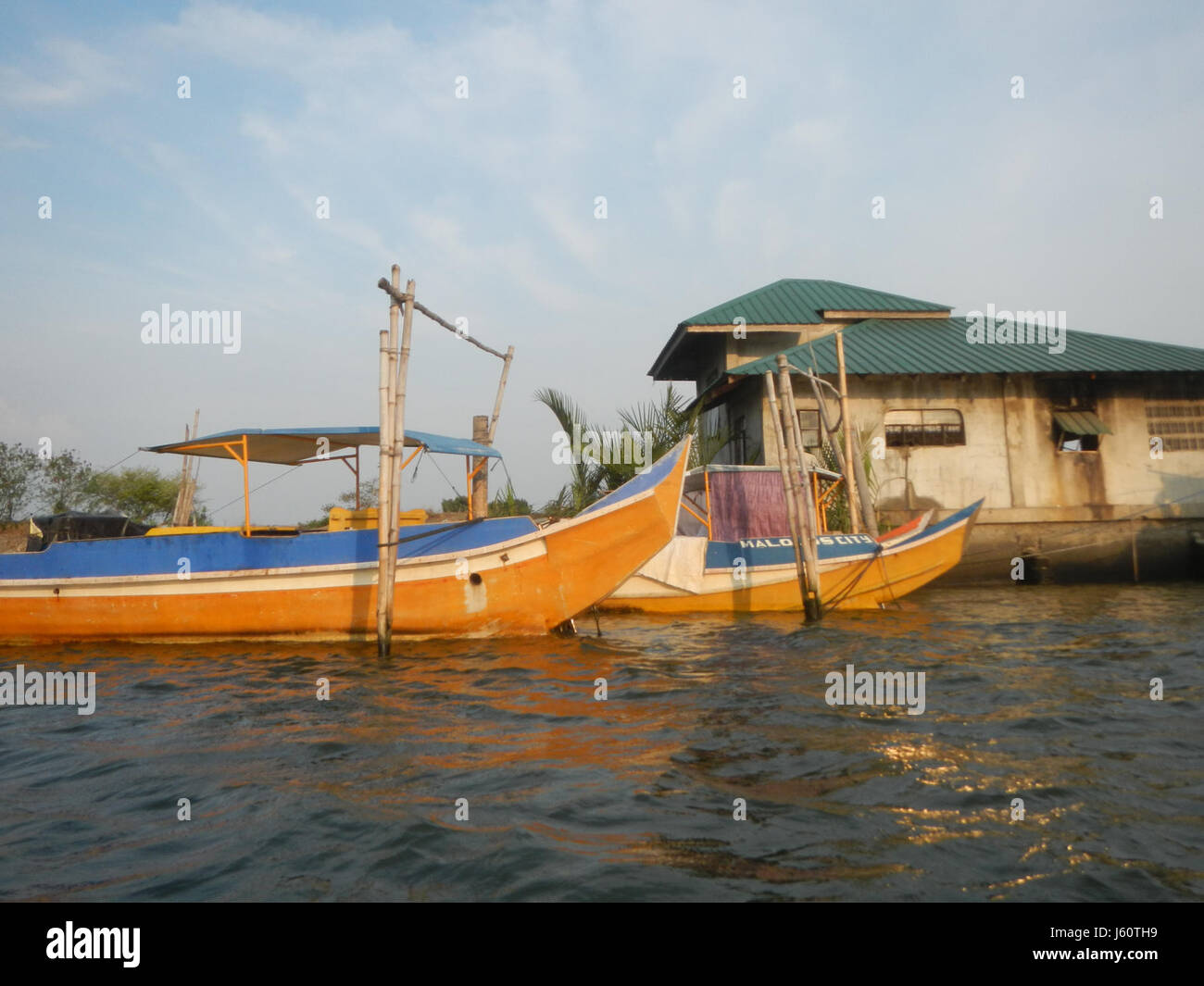 01094 River banks Birds Panasahan Malolos San Jose Paombong Bulacan 20 ...
