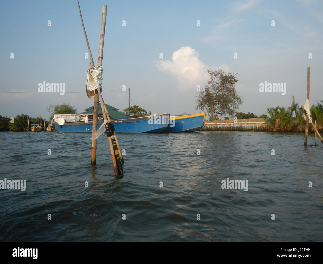 01094 River banks Birds Panasahan Malolos San Jose Paombong Bulacan 28 ...