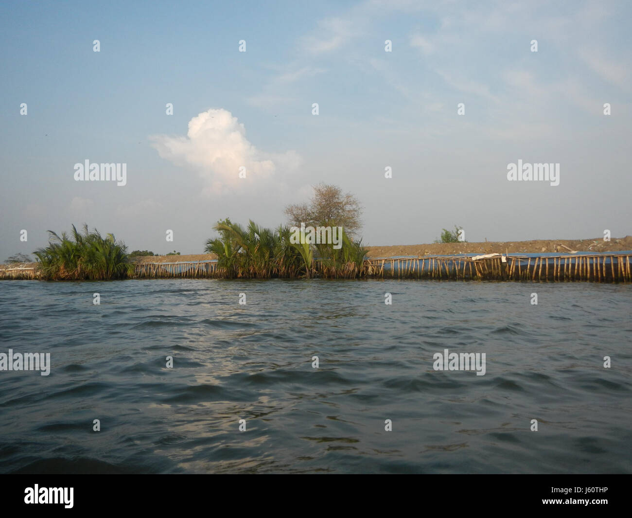 This image depicts the river banks of Panasahan in Malolos, Bulacan ...