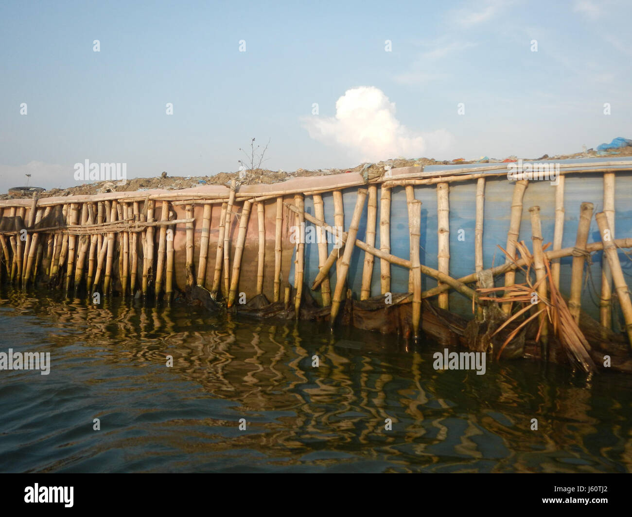01094 River banks Birds Panasahan Malolos San Jose Paombong Bulacan 41 ...