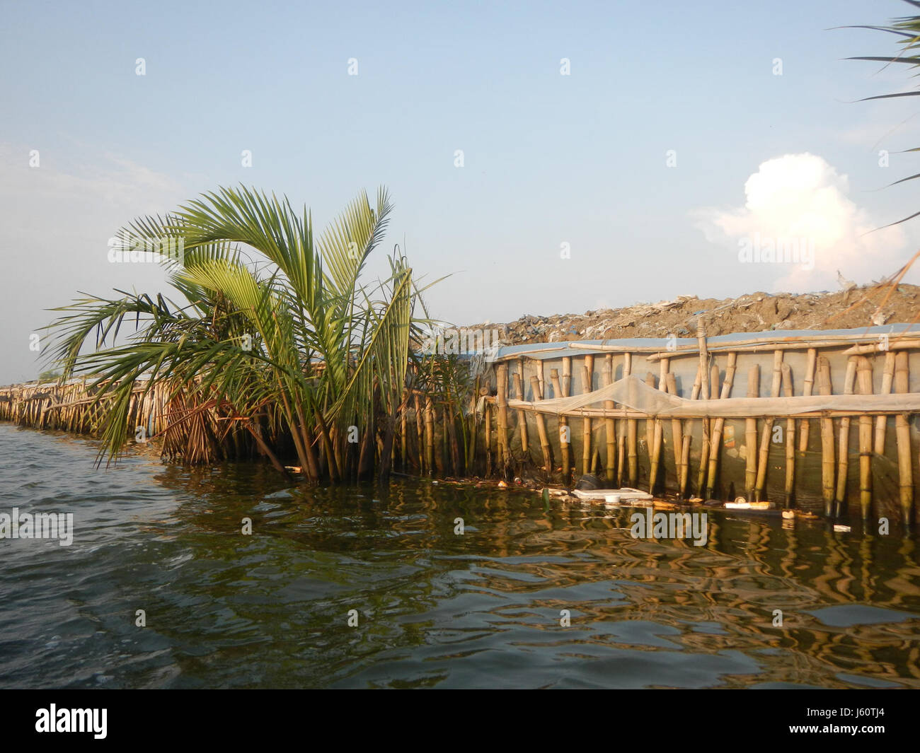 01094 River banks Birds Panasahan Malolos San Jose Paombong Bulacan 43 ...