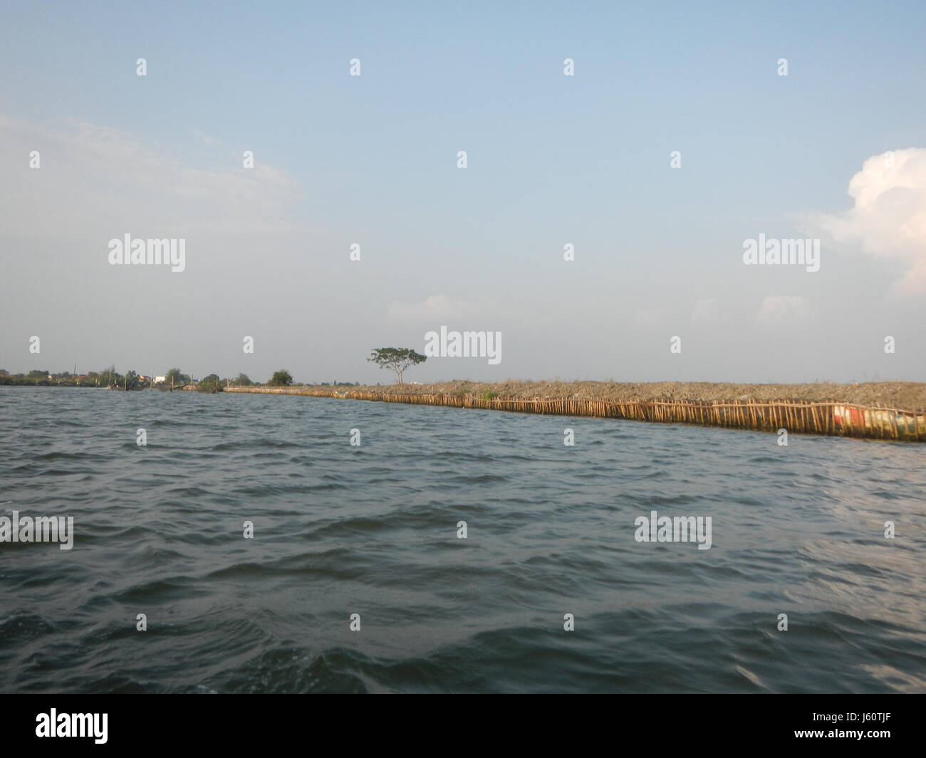 The riverbanks of Panasahan in Malolos City, Bulacan, are known for ...