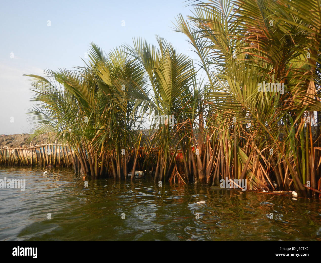 This image depicts the riverbanks of Panasahan in Malolos City, Bulacan ...