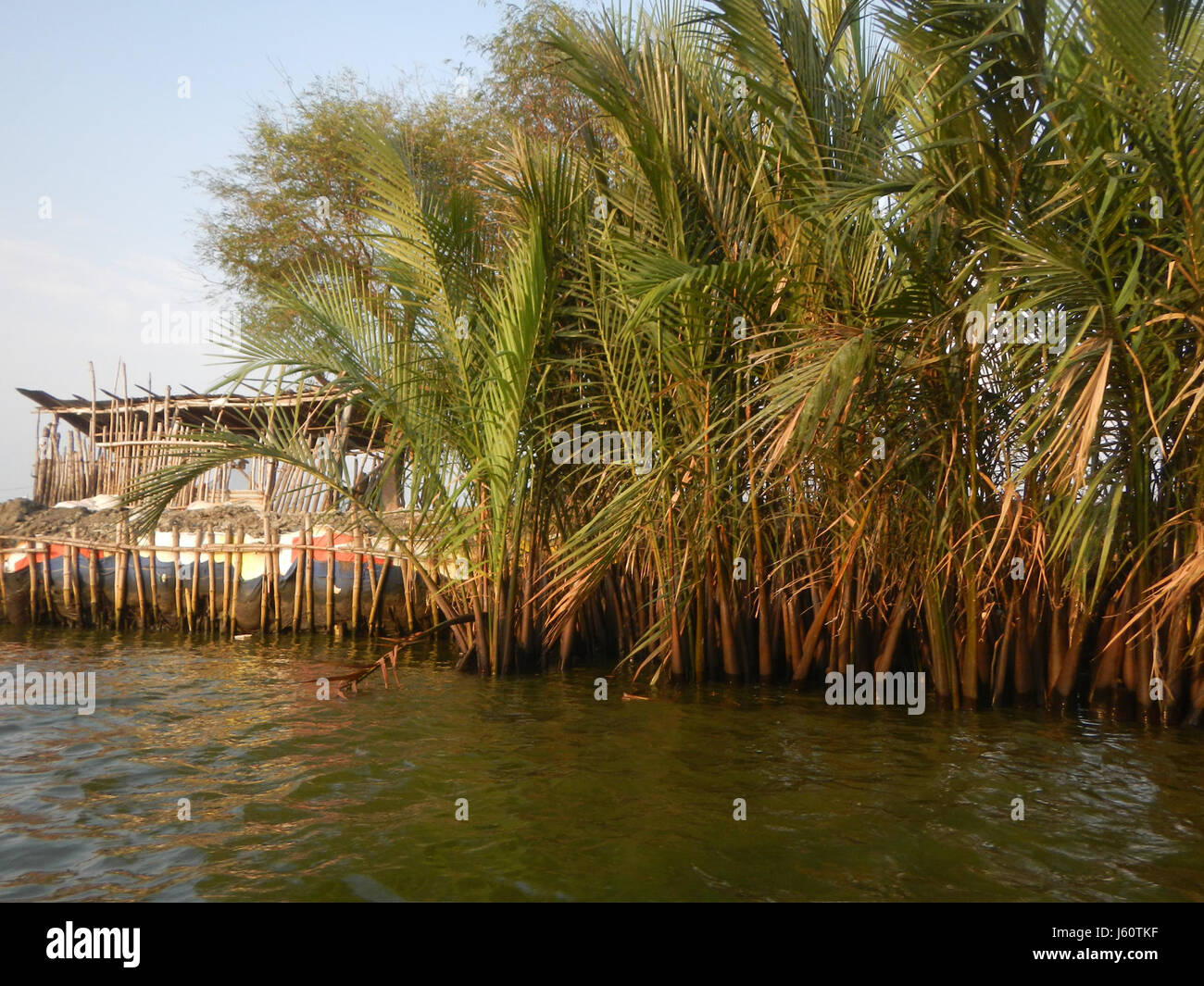 The river banks of Panasahan in Malolos City, Bulacan, are an important ...