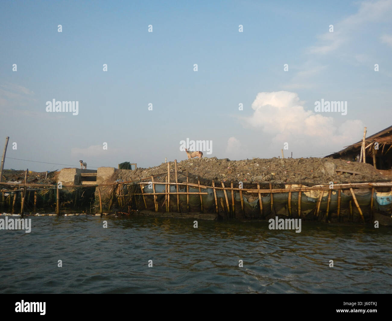 This image shows the river banks of Panasahan in Malolos City, Bulacan ...