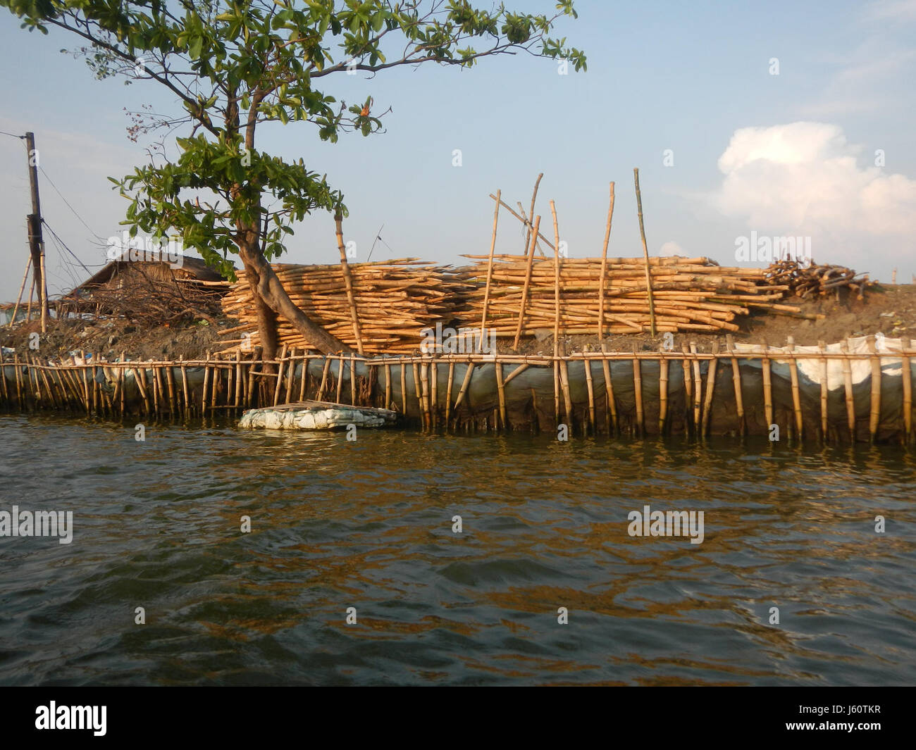 A photograph taken along the river banks of Panasahan in Malolos City ...