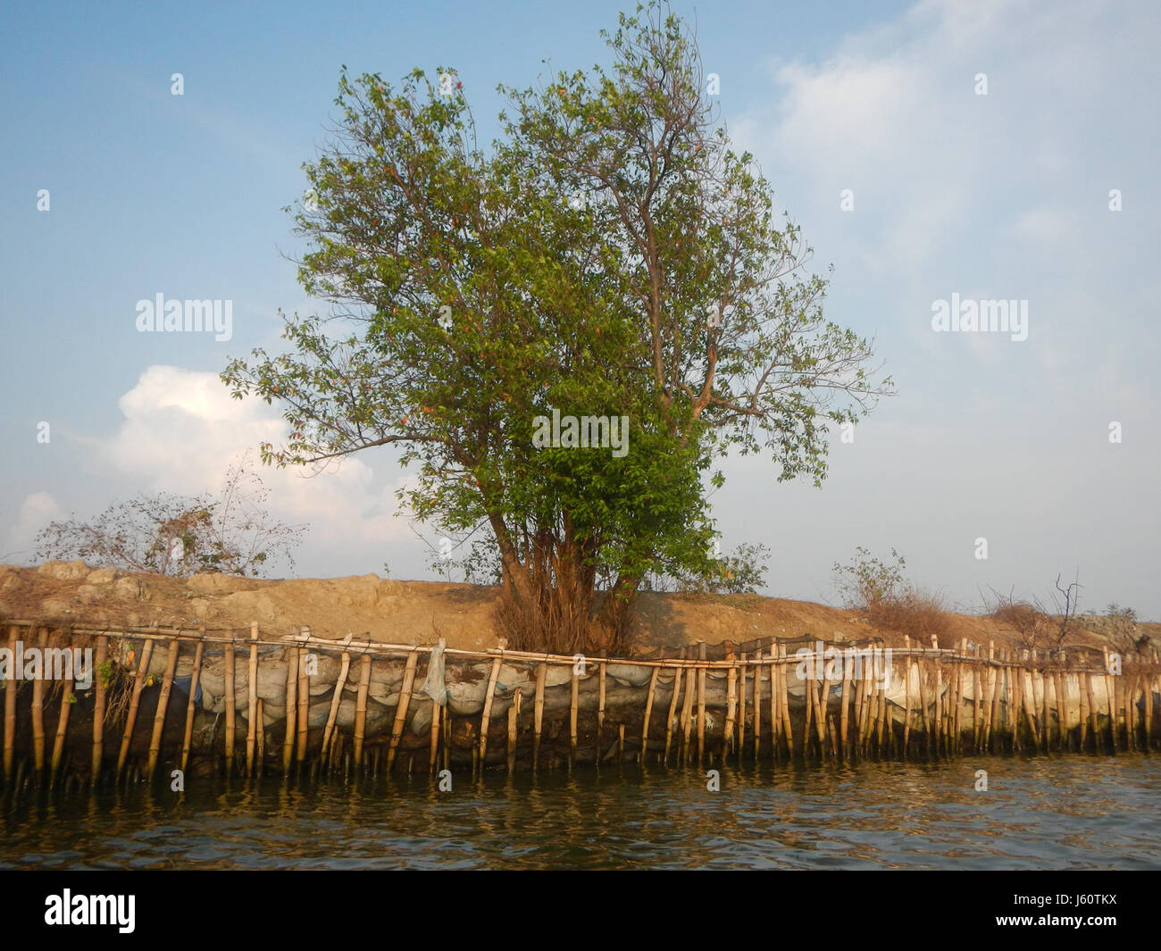 This image shows the river banks of Panasahan in Malolos City, Bulacan ...