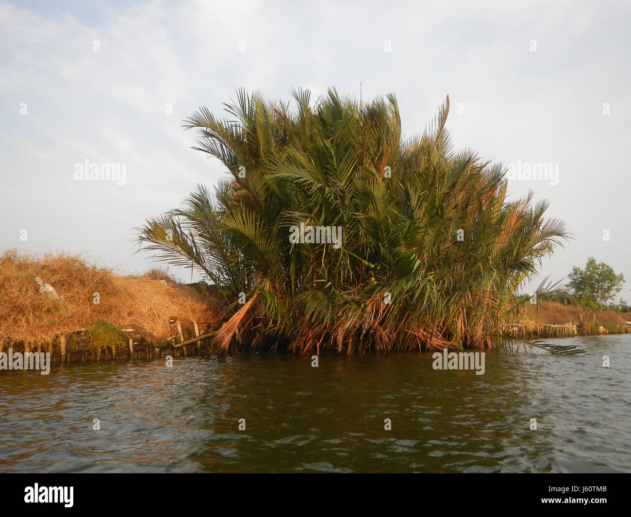 Banks of rivers hi-res stock photography and images - Alamy