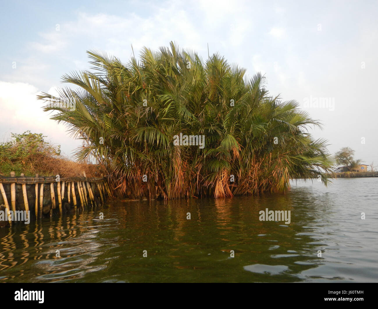 03796 River banks Panasahan Malolos City Bulacan 10 Stock Photo - Alamy