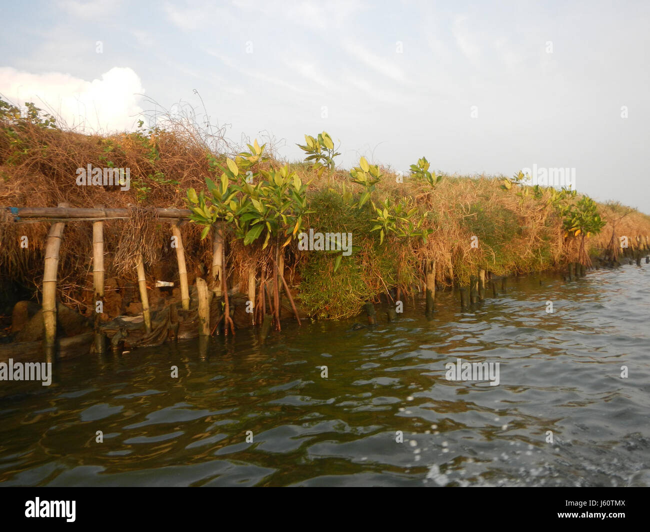 The image depicts the riverbanks of Panasahan in Malolos City, Bulacan ...
