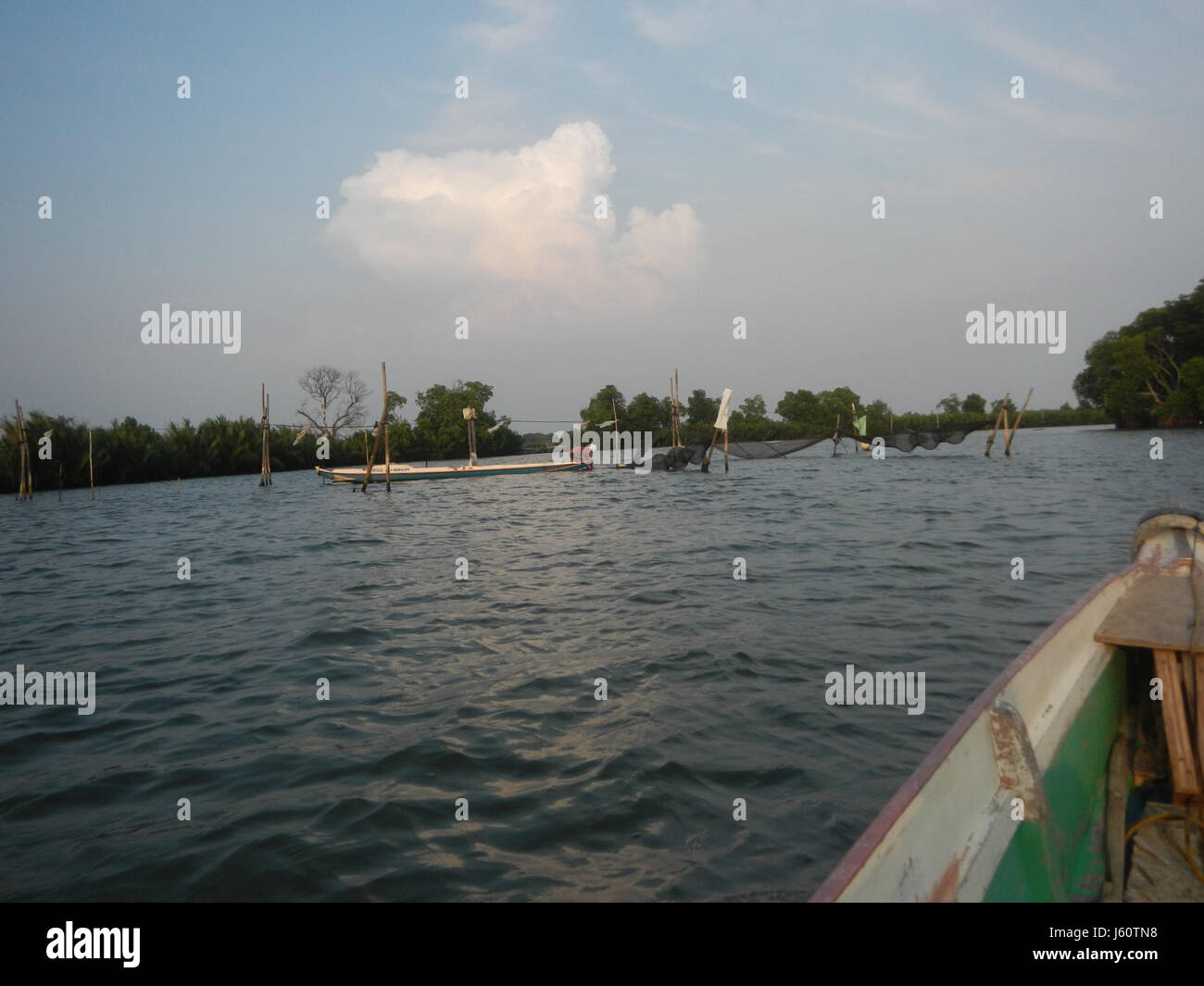 This image features the river banks of Panasahan in Malolos City ...