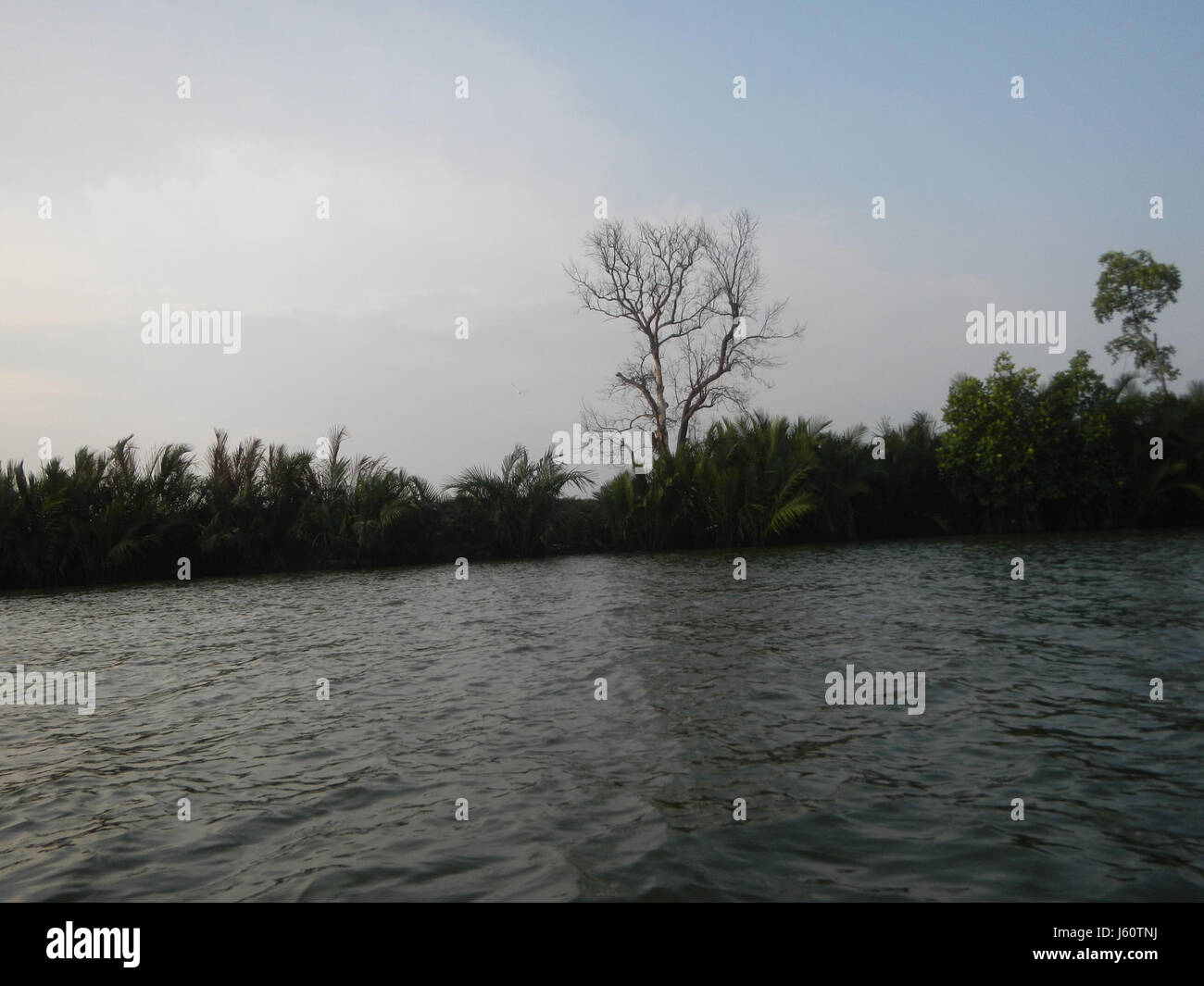 A detailed view of the river banks of Panasahan in Malolos City ...