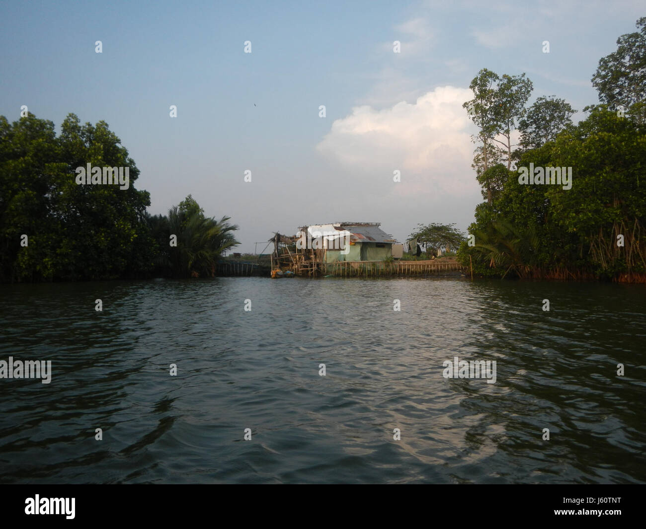 The river banks of Panasahan in Malolos, Bulacan, are an important ...