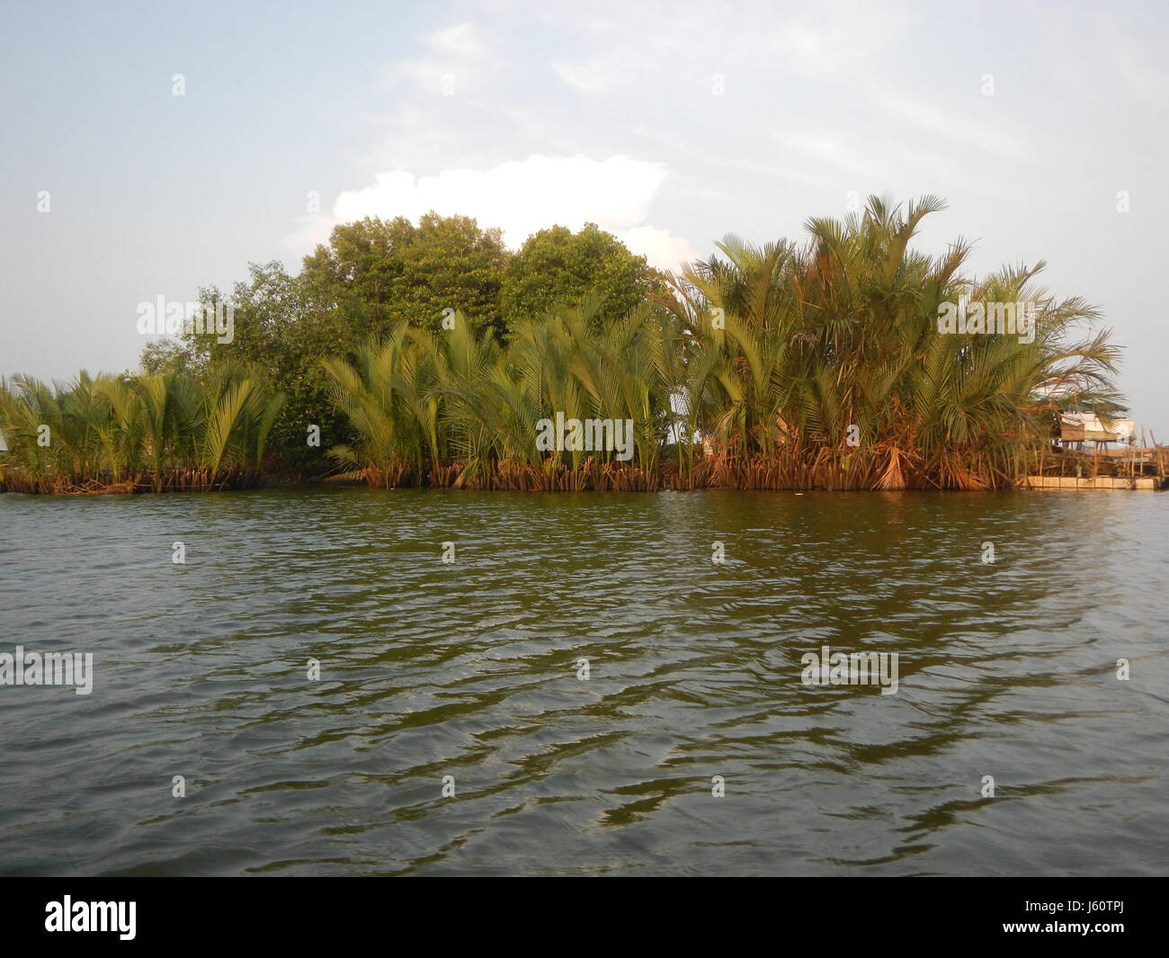 03871 River banks Panasahan Malolos City Bulacan 16 Stock Photo - Alamy