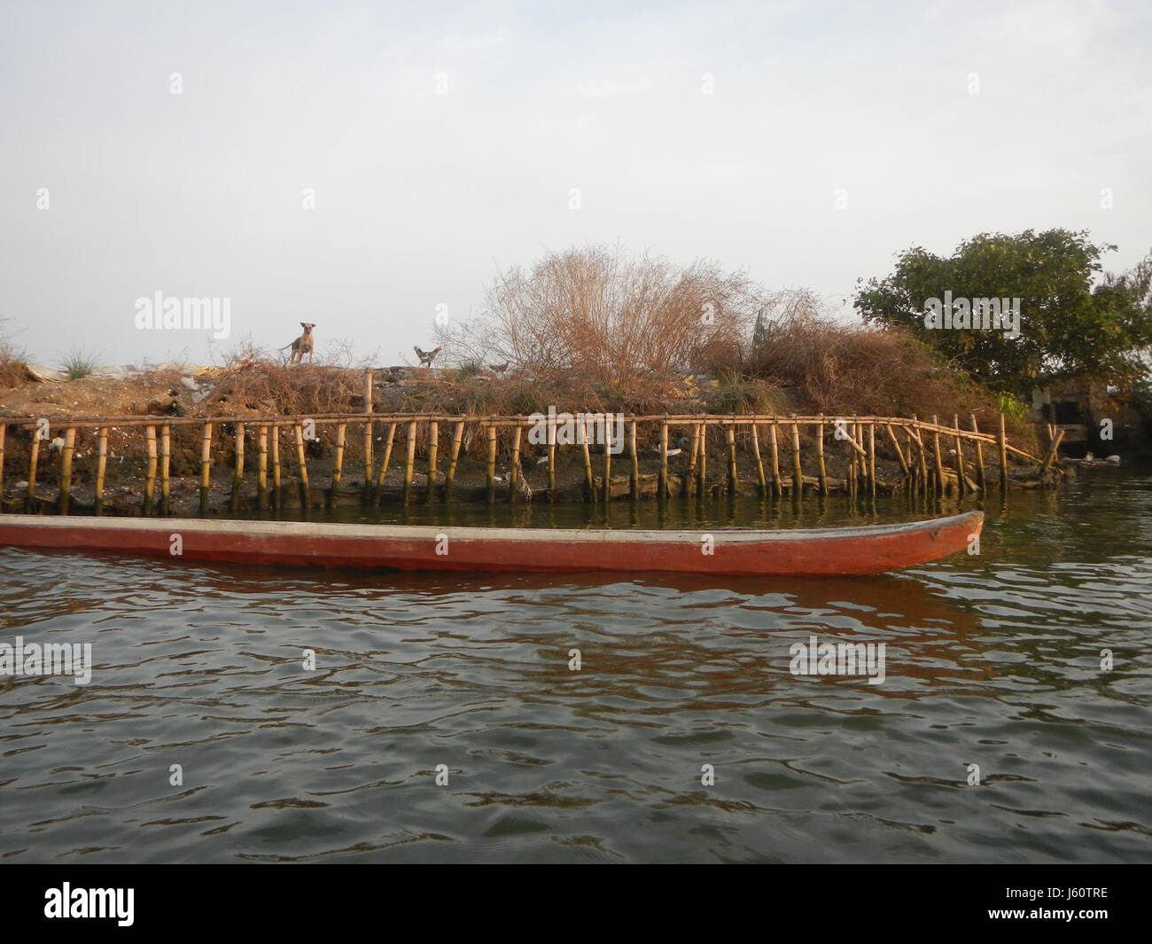 03871 River banks Panasahan Malolos City Bulacan 39 Stock Photo - Alamy