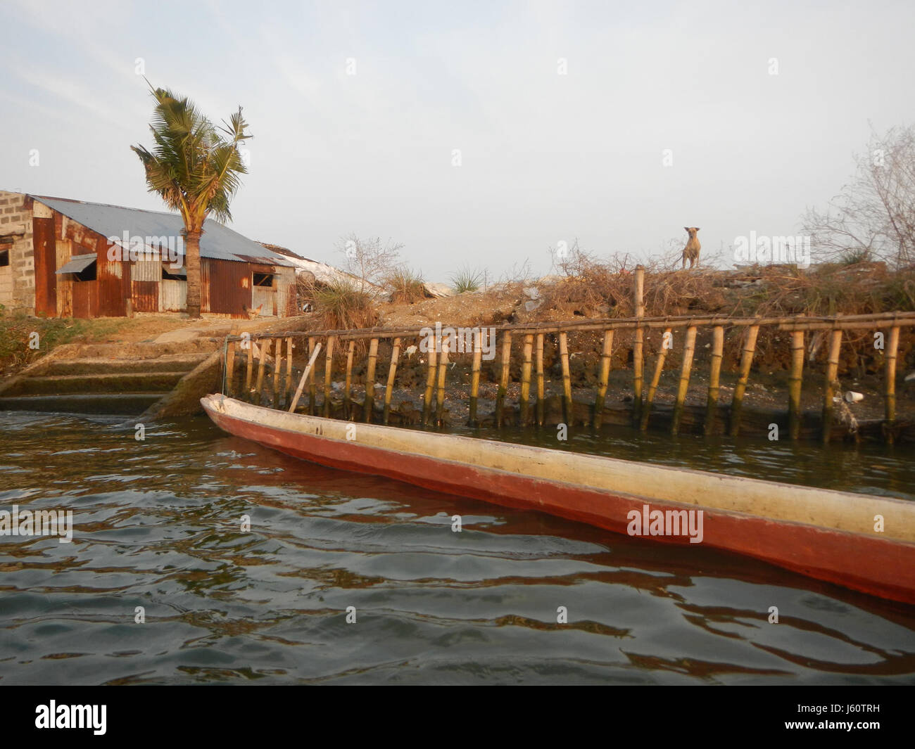 The River Banks of Panasahan in Malolos City, Bulacan, Philippines, are ...