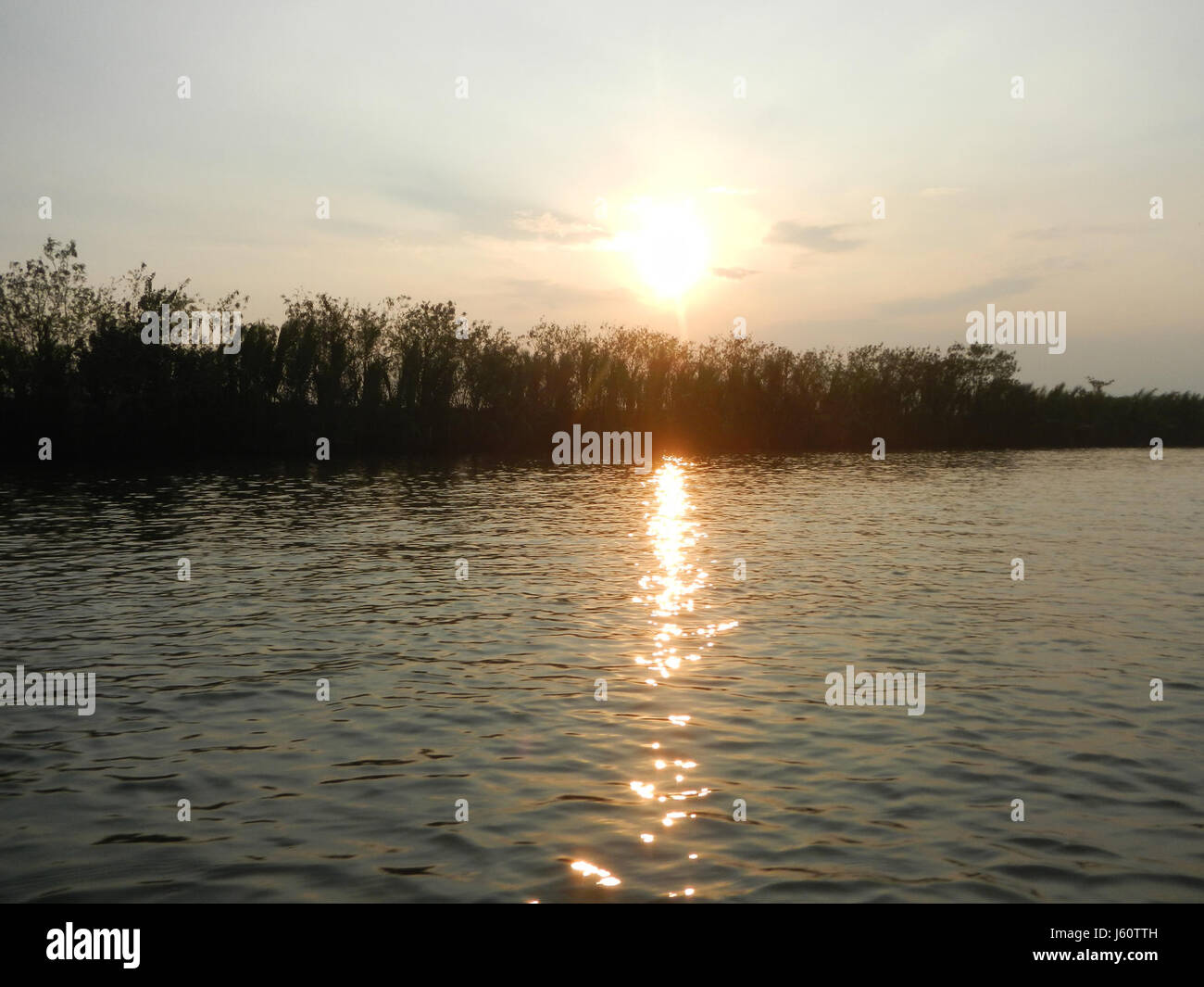 A picturesque view of the riverbanks in Panasahan, Malolos City ...