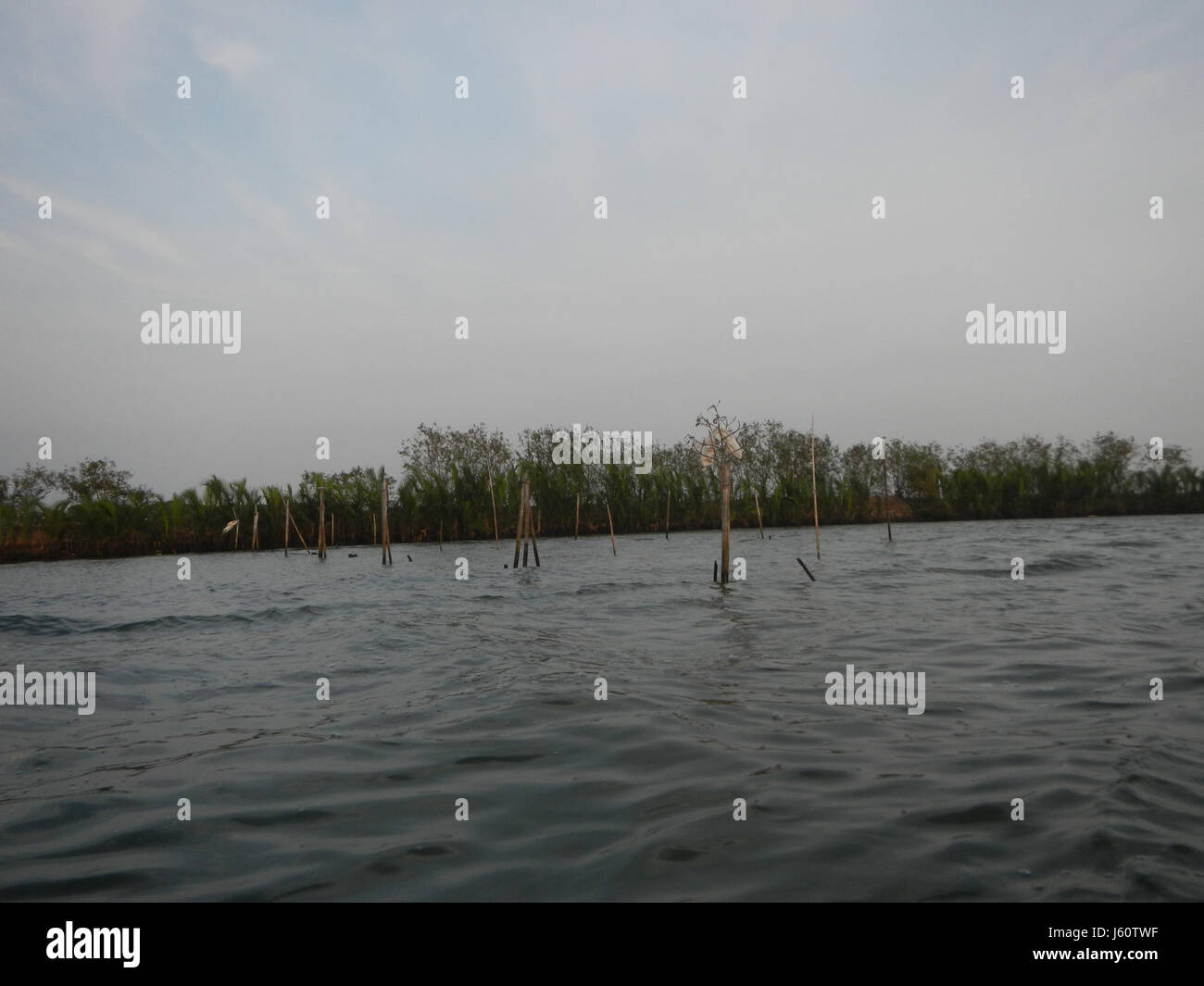 03940 Sunsets River banks Panasahan Malolos City Bulacan 43 Stock Photo ...