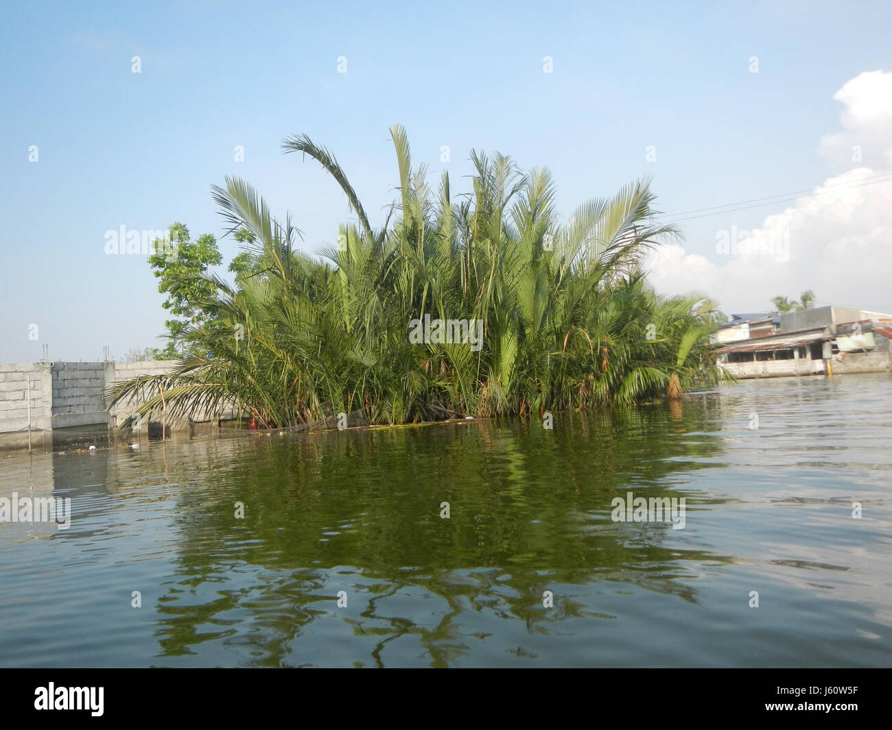 A detailed map showing the Malolos River Districts, including Atlag ...