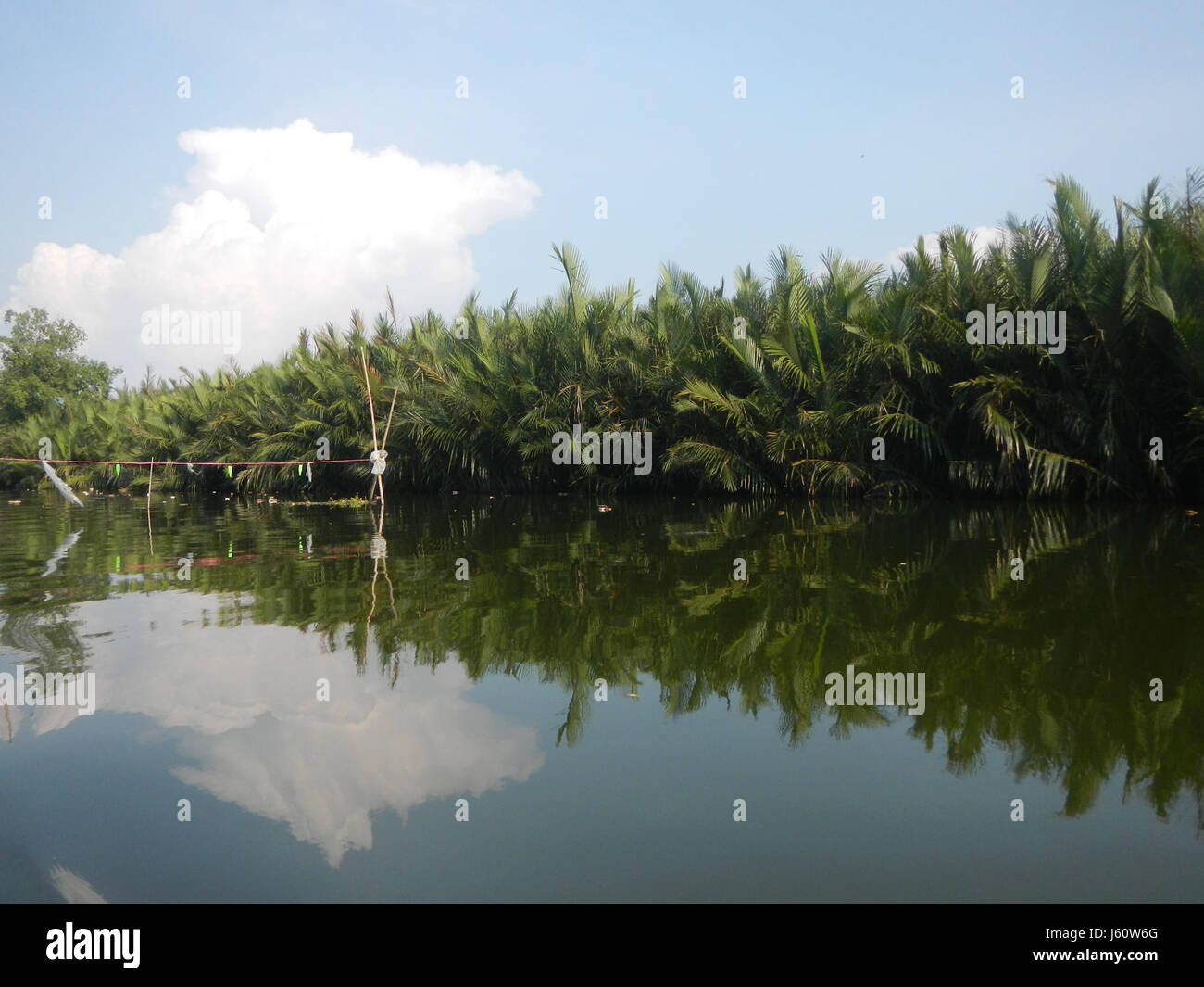 This map illustrates the Malolos River Districts, including the areas ...