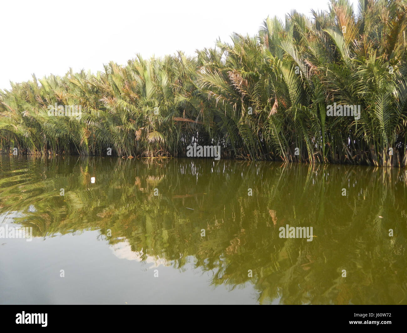 An image or map depicting the districts along the Malolos River ...
