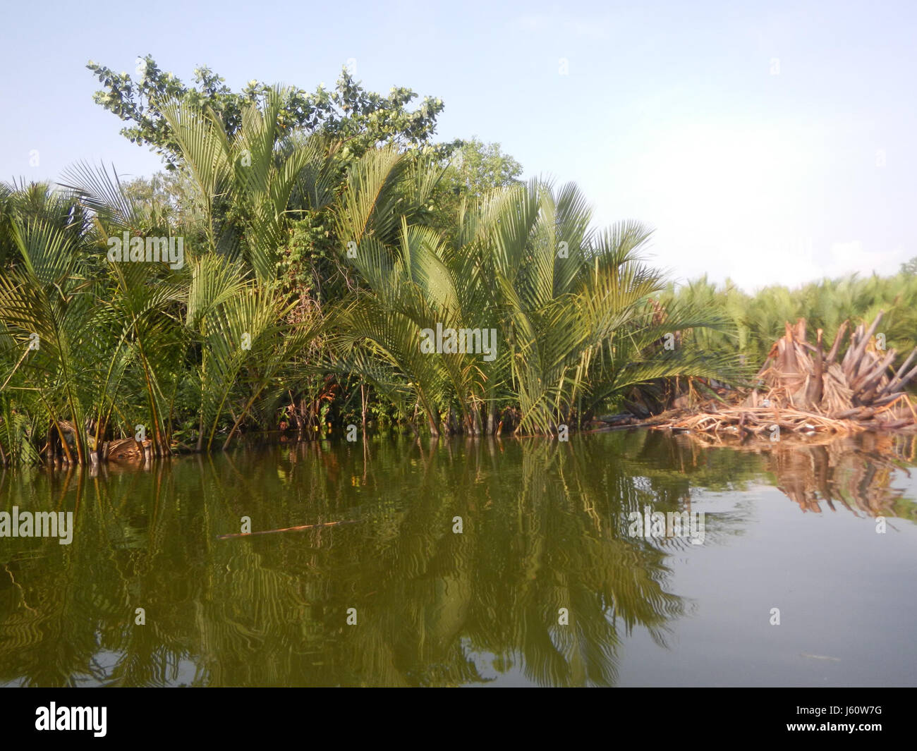A detailed map or illustration of the Malolos River Districts ...