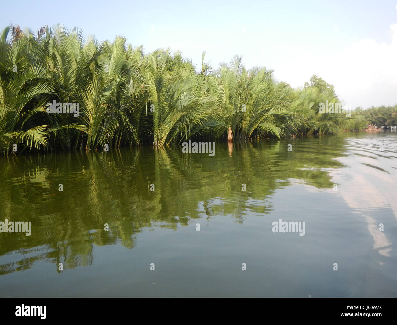 A geographical map or overview of the Malolos River Districts, with ...