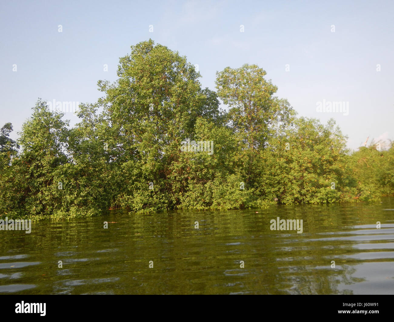 This image highlights the river districts in Malolos, Bulacan ...