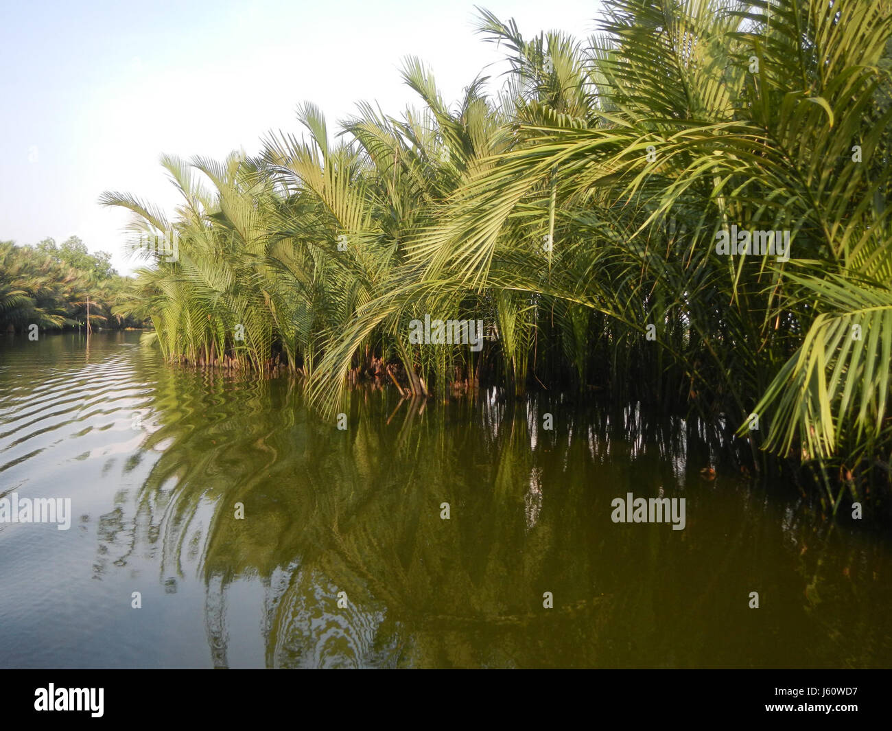 The river banks along Calero, Malolos, San Jose, and Paombong in ...