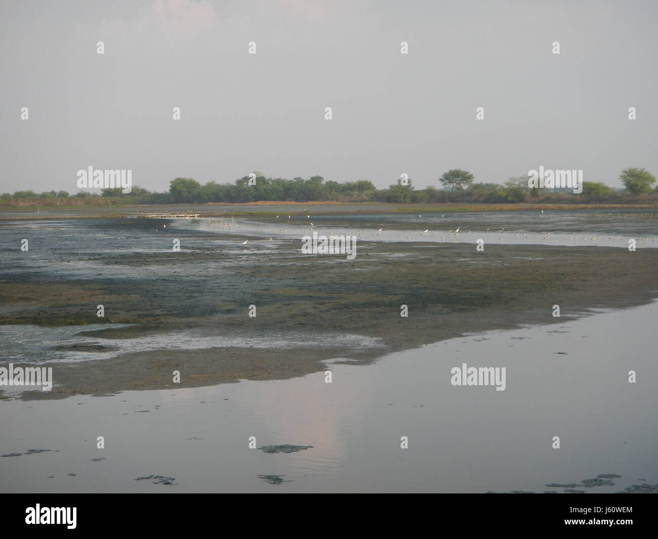 This image depicts the river banks near Calero, Malolos, San Jose, and ...