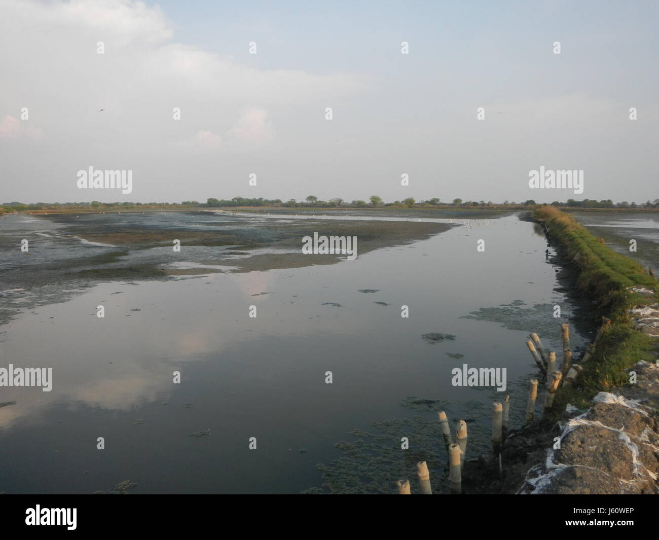 The river banks in Calero, Malolos, San Jose, and Paombong in Bulacan ...