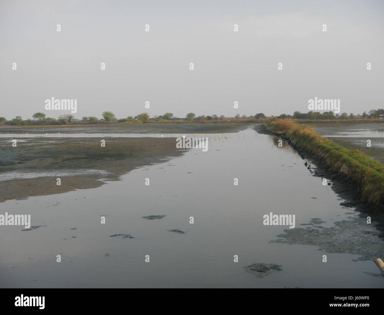 This image shows the river banks along Calero, Malolos, San Jose, and ...
