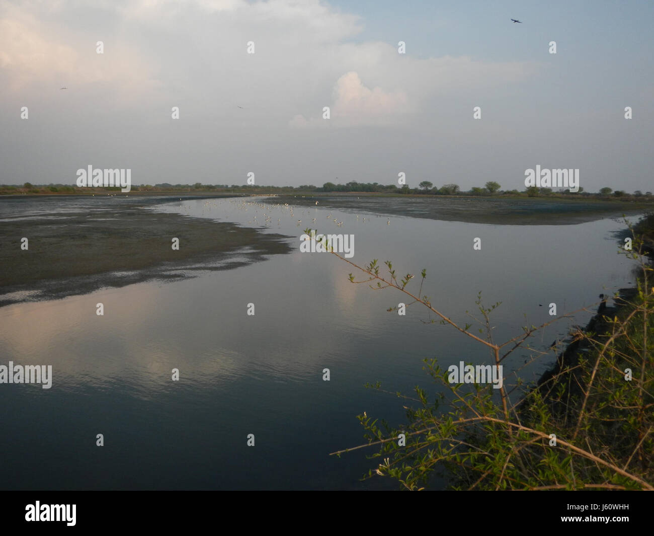 Paombong High Resolution Stock Photography and Images - Alamy