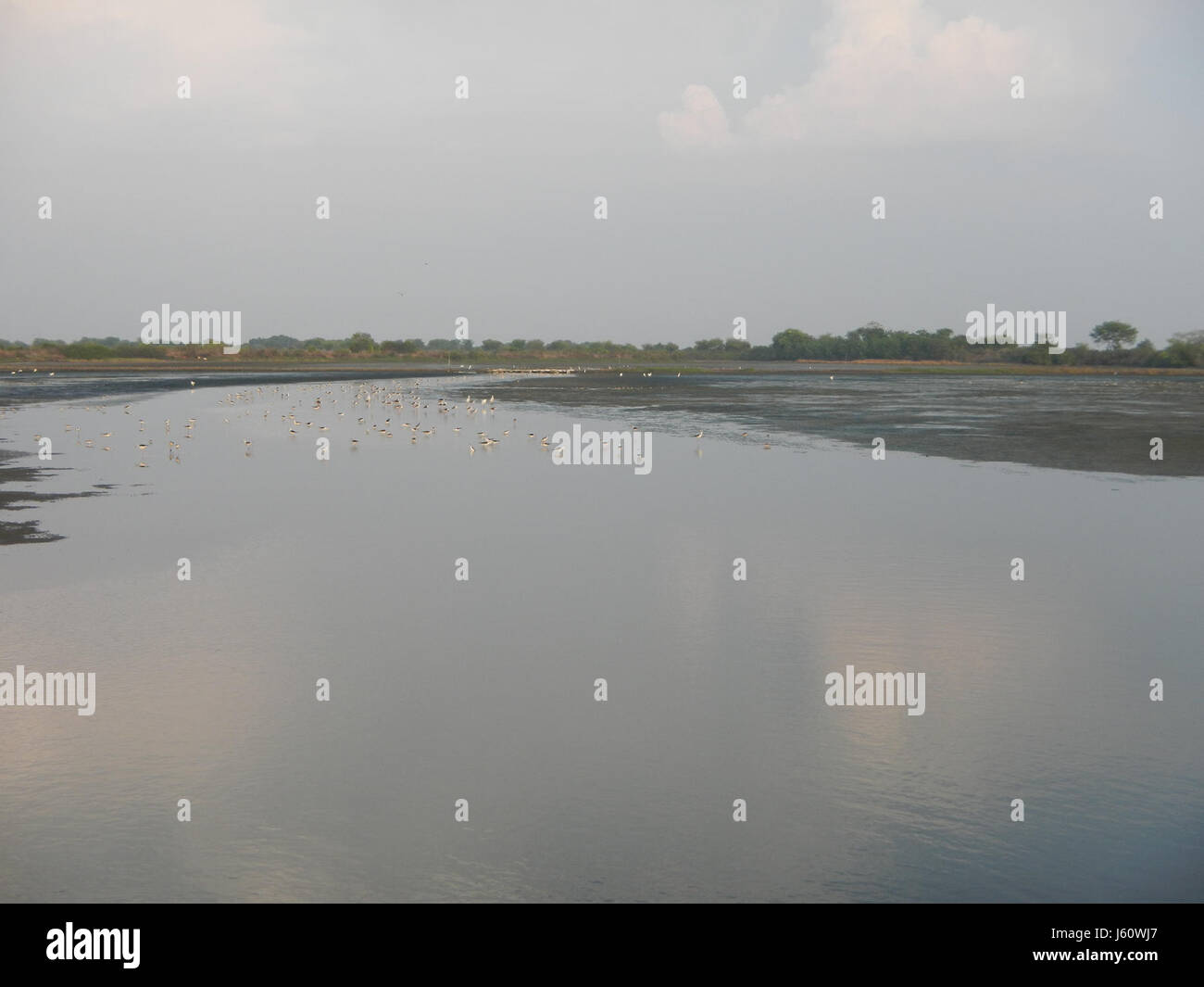 01148 Birds Sunsets San Jose Paombong, Bulacan 03 Stock Photo - Alamy