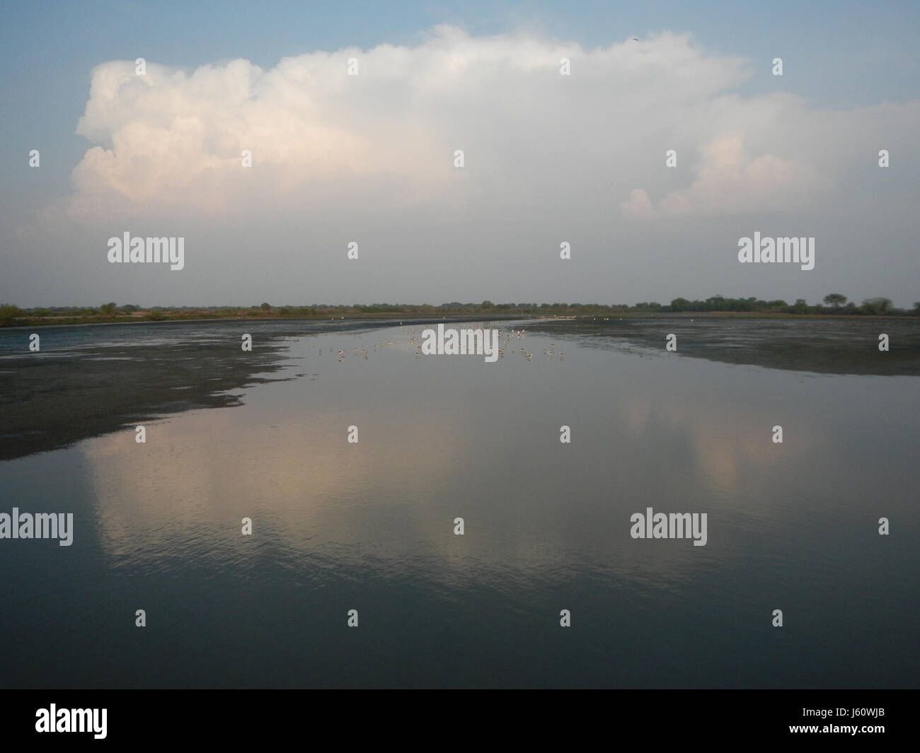 01148 Birds Sunsets San Jose Paombong, Bulacan 06 Stock Photo - Alamy