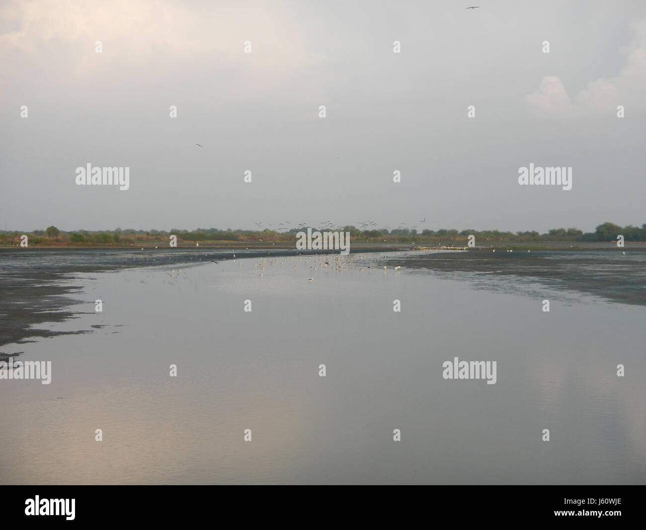 01148 Birds Sunsets San Jose Paombong, Bulacan 09 Stock Photo - Alamy