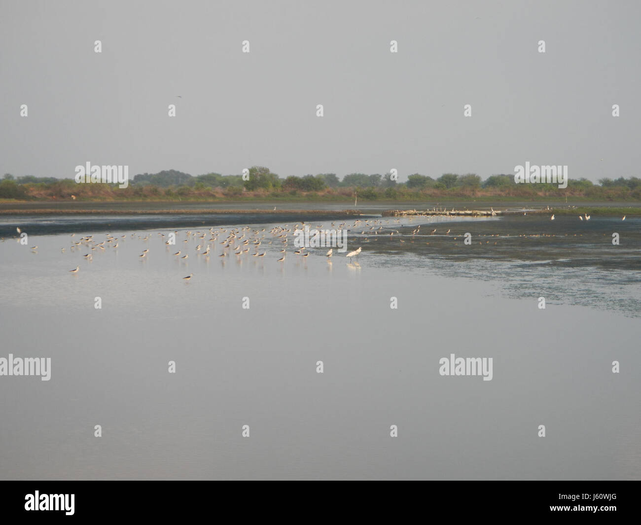 Photograph map san jose hi-res stock photography and images - Alamy