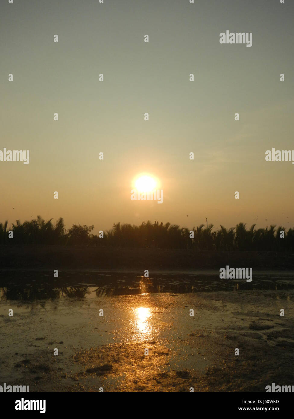 01148 Birds Sunsets San Jose Paombong, Bulacan 36 Stock Photo - Alamy