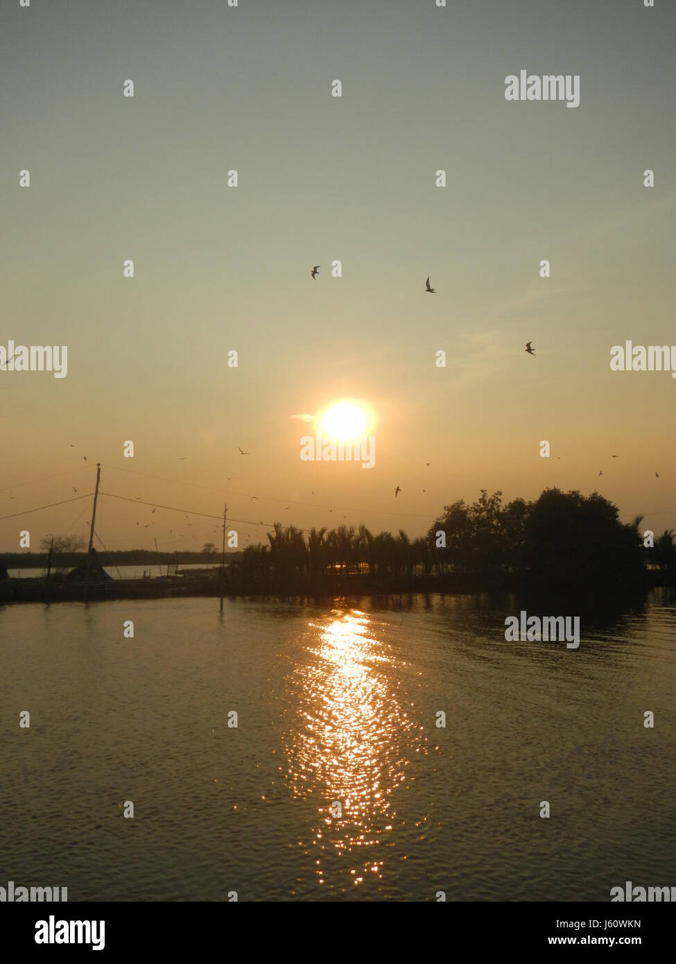 This image captures the serene beauty of birds flying against the ...