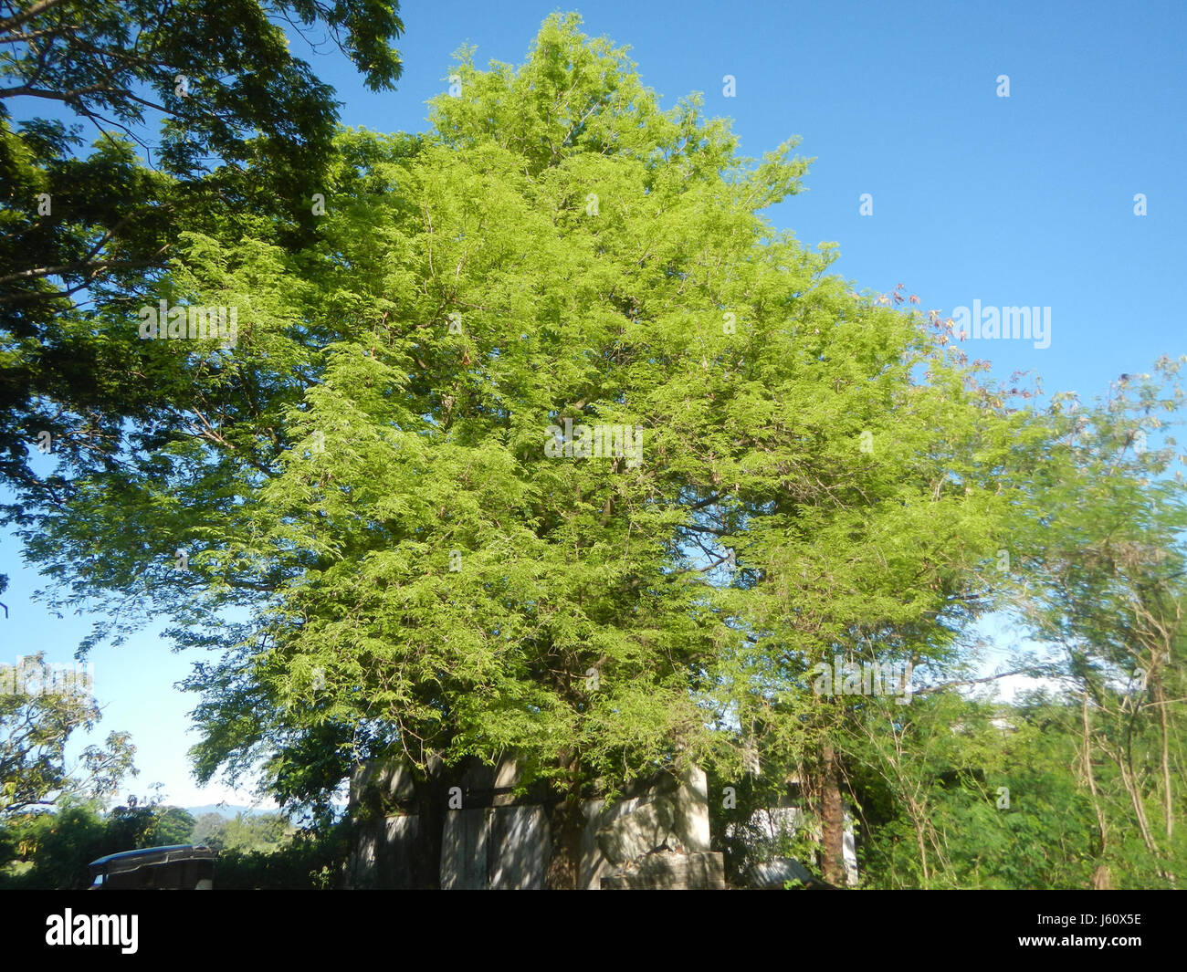 San Miguel Sibul Road in Bulacan, Philippines, is a key local road that ...