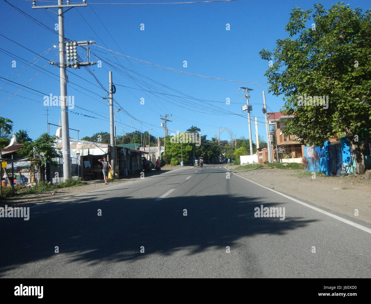 01979 Construction of Slope Protection Sibul Springs Bridge San Miguel ...